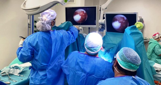 Anal fistula treatment: Hospital da Luz Funchal debuts technique ...