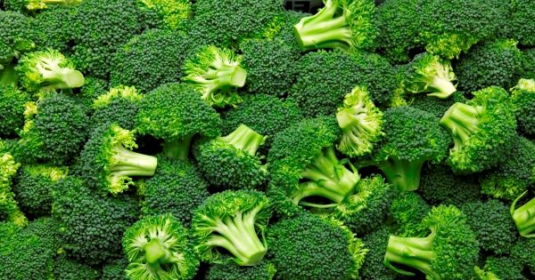 7 receitas com brócolos das nossas nutricionistas | Hospital da Luz Aveiro