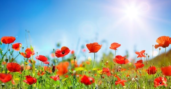 Is it spring asthenia? | Hospital da Luz