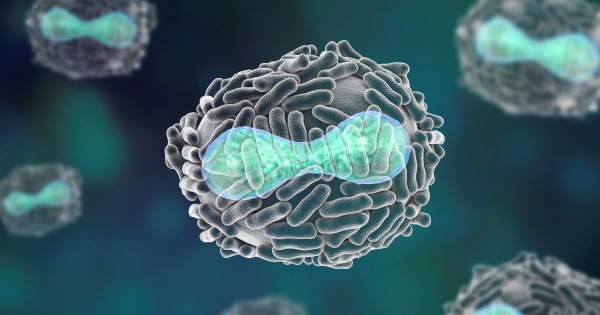 Varíola: a primeira vacina que mudou a história | Hospital da Luz